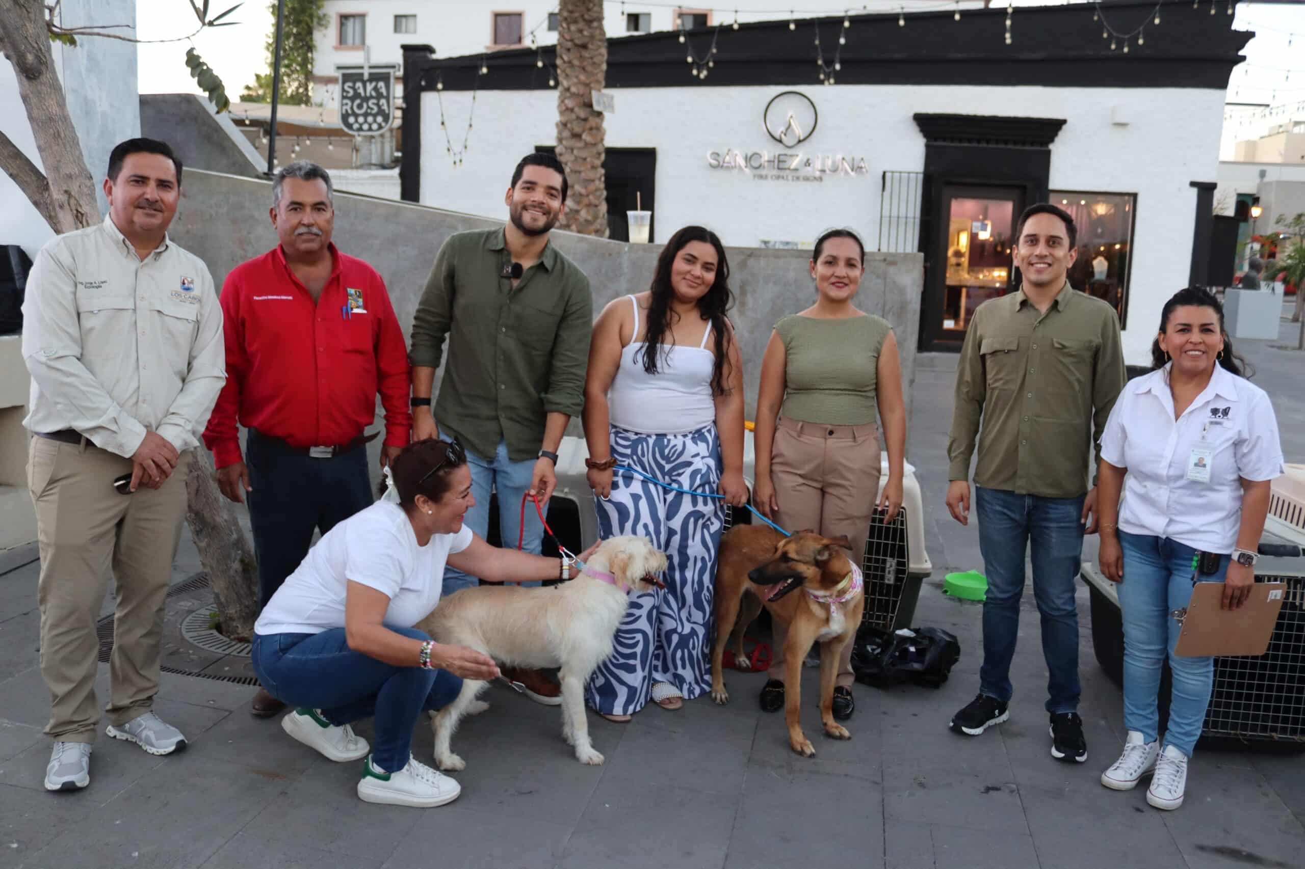 Realizan Croquetón en San José del Cabo en apoyo a refugios temporales ...